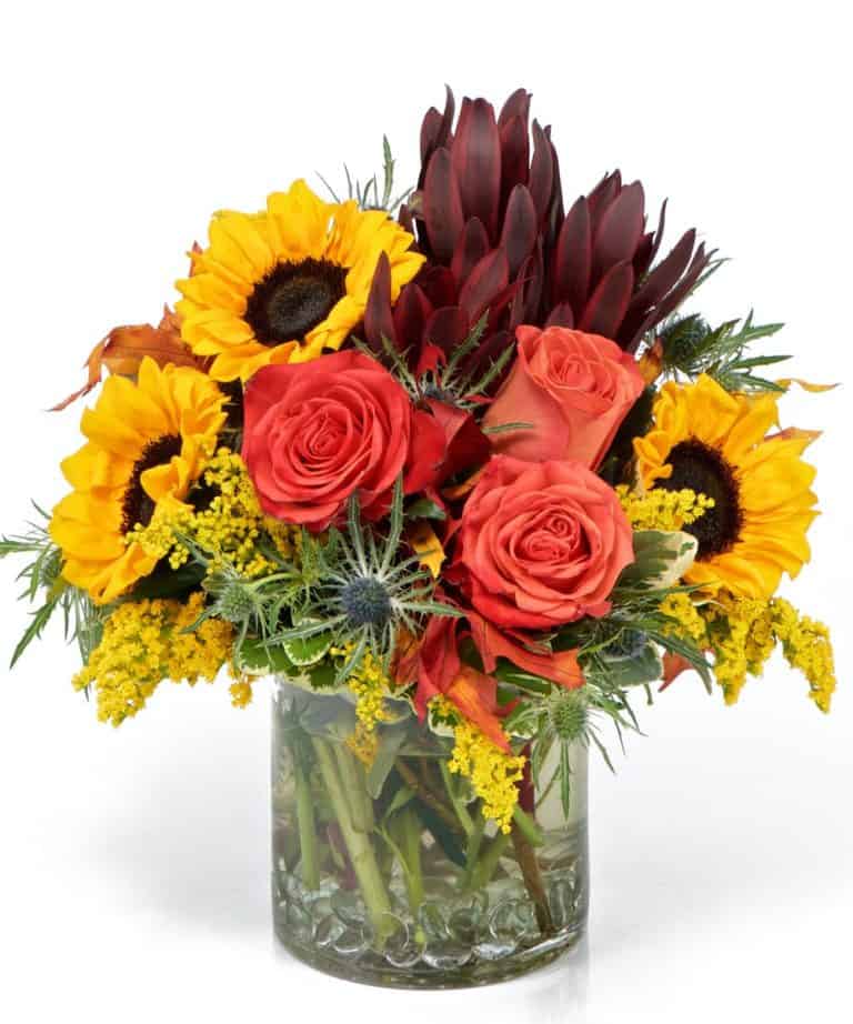 A Guide to Autumn Flowers in Trending Autumn Colors